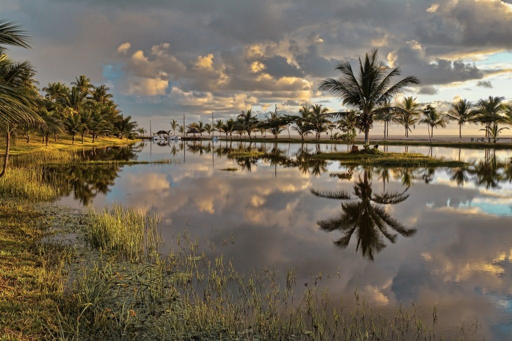 Cheap flights to Brazil | FlyHalfPrice.com